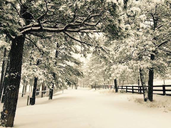 Ruidoso Snow